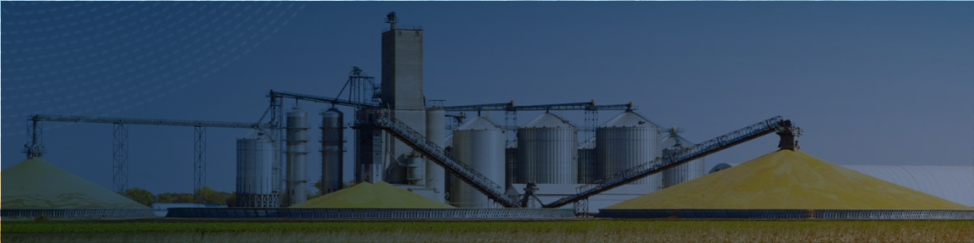 Sona Machinery - Leading Rice Mill Machinery Manufacturer & Supplier