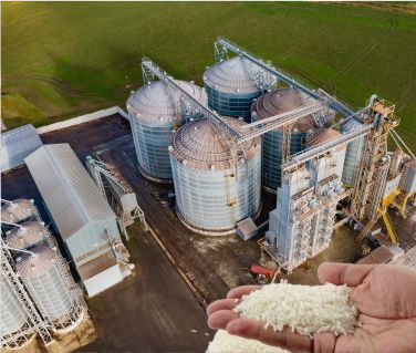 Sona Machinery - Leading Rice Mill Machinery Manufacturer & Supplier